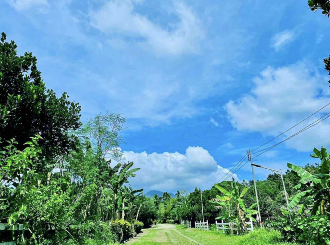 Blue Zone Summit, San Jose, Batangas | White Butterfly